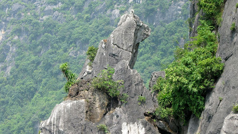 Tour du lịch Hạ Long Tuyến 1: Hòn Chó Đá – Hòn Đỉnh Hương Ba Hang - Hòn ...