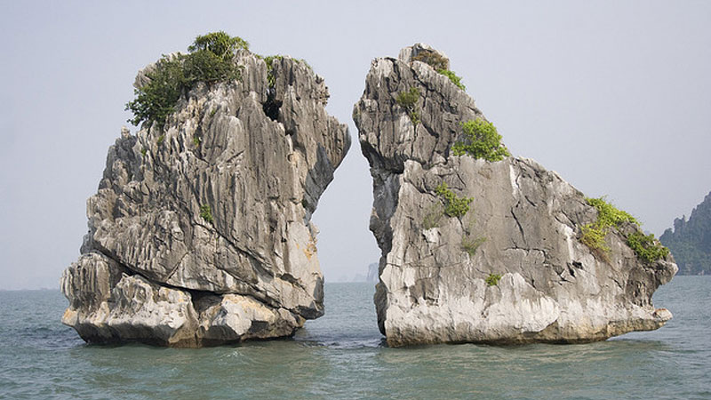 Tour du lịch Hạ Long Tuyến 1: Hòn Chó Đá – Hòn Đỉnh Hương Ba Hang - Hòn ...